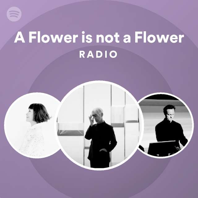 A Flower is not a Flower Radio | Spotify Playlist