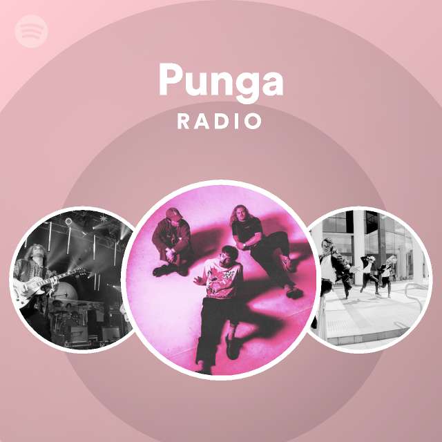 Punga Radio - playlist by Spotify | Spotify