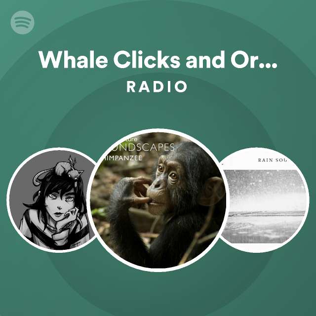 Whale Clicks and Orca Sounds Radio - playlist by Spotify | Spotify