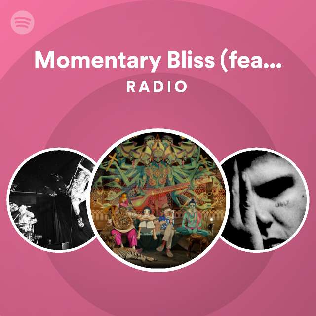 Momentary Bliss (feat. slowthai and Slaves) Radio - playlist by Spotify | Spotify