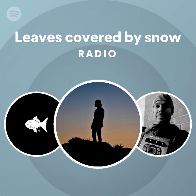 Leaves covered by snow Radio - playlist by Spotify | Spotify