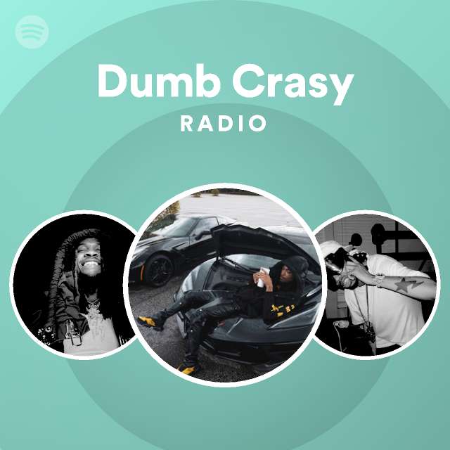 Dumb Crasy Radio | Spotify Playlist