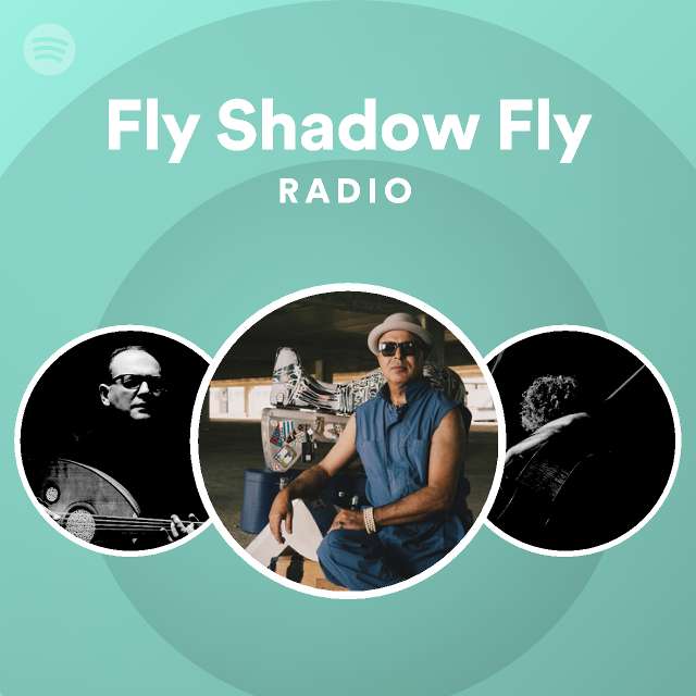 Fly Shadow Fly Radio - playlist by Spotify | Spotify