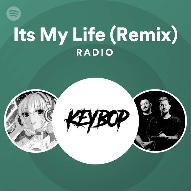 Its My Life (Remix) Radio - playlist by Spotify | Spotify