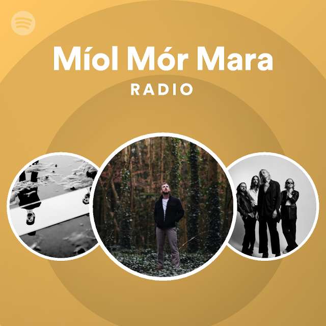 Míol Mór Mara Radio - playlist by Spotify | Spotify