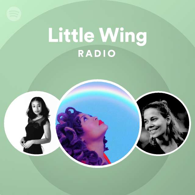 Little Wing Radio - playlist by Spotify | Spotify