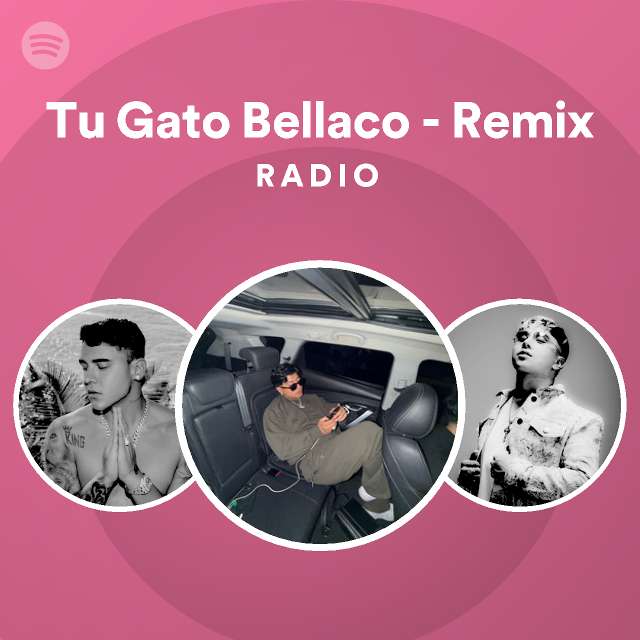 Tu Gato Bellaco - Remix Radio - playlist by Spotify | Spotify