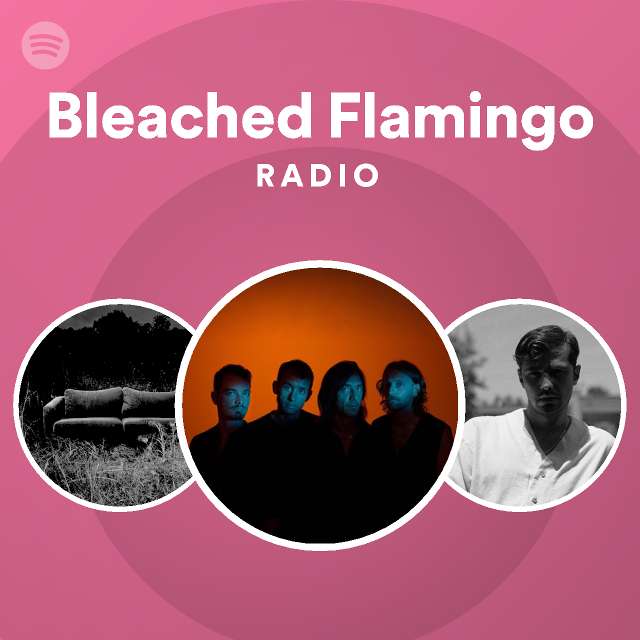 Bleached Flamingo Radio - playlist by Spotify | Spotify