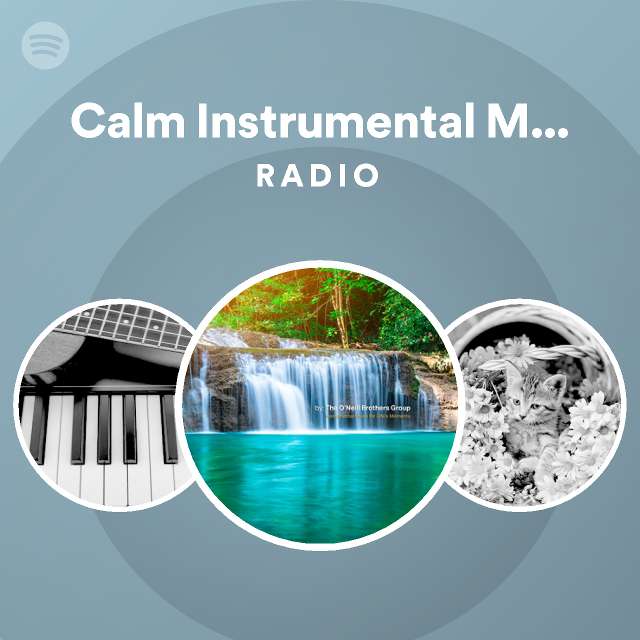 Calm Instrumental Music Radio - playlist by Spotify | Spotify