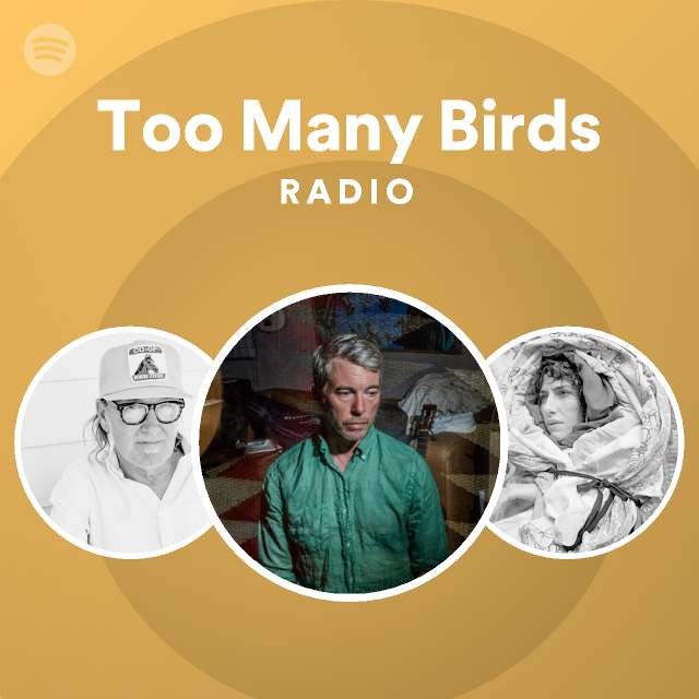 Too Many Birds Radio - playlist by Spotify | Spotify