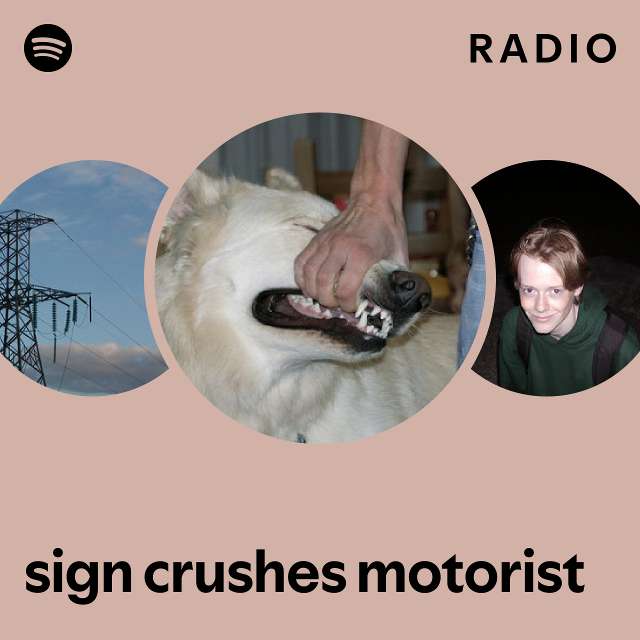 sign crushes motorist Radio - playlist by Spotify | Spotify