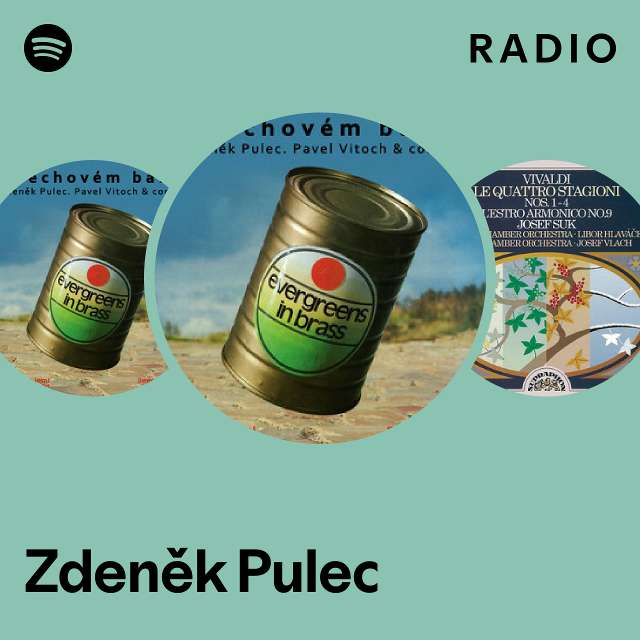 Zdeněk Pulec Radio - playlist by Spotify | Spotify