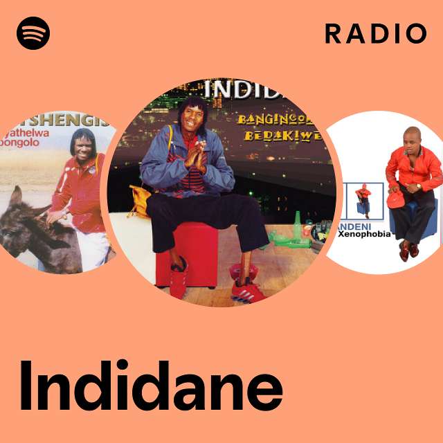 Indidane Radio - playlist by Spotify | Spotify