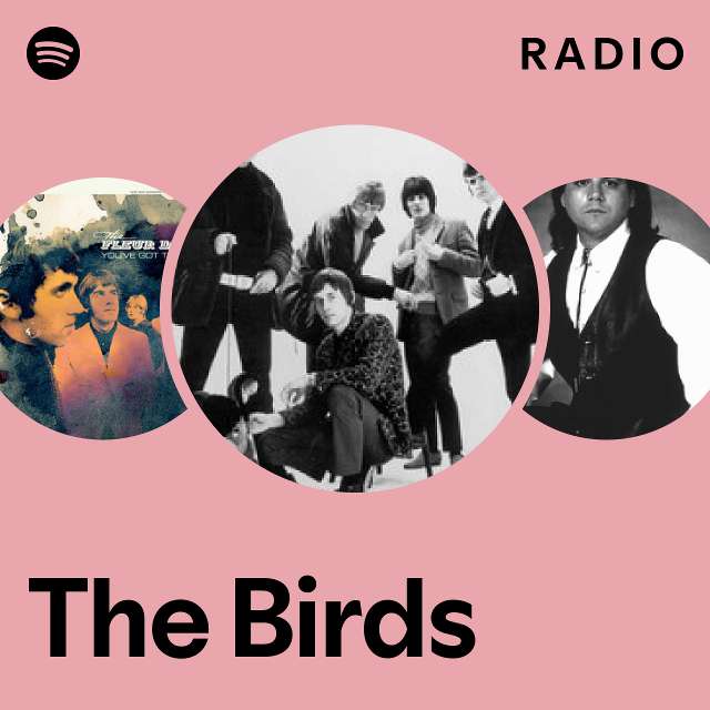 The Birds Radio - playlist by Spotify | Spotify