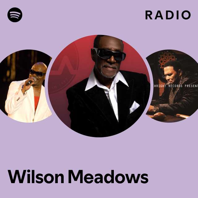 Wilson Meadows Radio - playlist by Spotify | Spotify