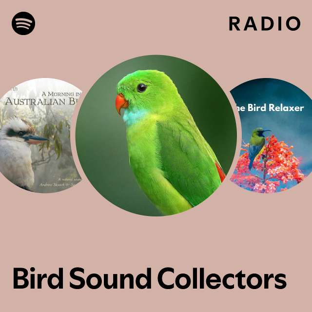 Bird Sound Collectors Radio - playlist by Spotify | Spotify