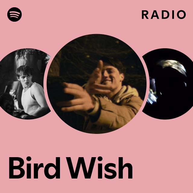 Bird Wish Radio - playlist by Spotify | Spotify