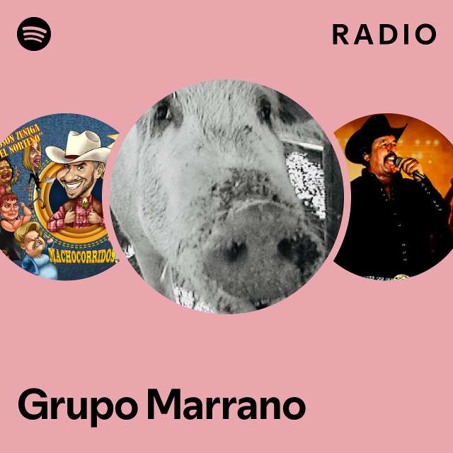 Grupo Marrano Radio - playlist by Spotify | Spotify