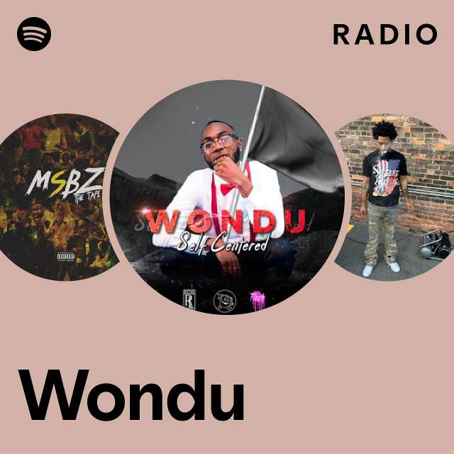 Wondu Radio - playlist by Spotify | Spotify