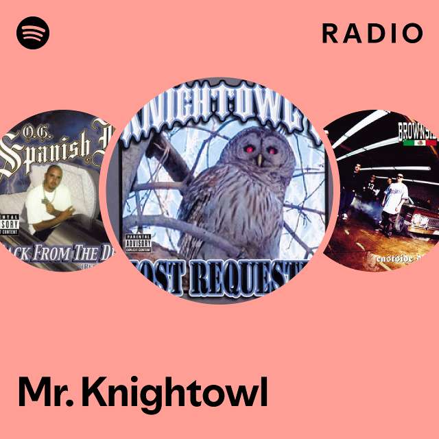 Mr. Knightowl Radio - playlist by Spotify | Spotify