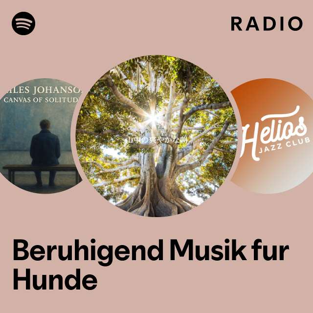 Beruhigend Musik fur Hunde Radio - playlist by Spotify | Spotify Beruhigend Musik fur Hunde Radio - playlist by Spotify | Spotify