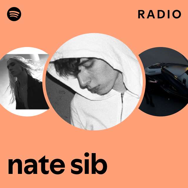 nate sib Radio - playlist by Spotify | Spotify