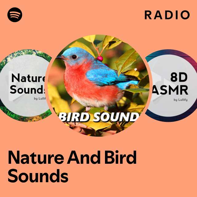 Nature And Bird Sounds Radio - playlist by Spotify | Spotify