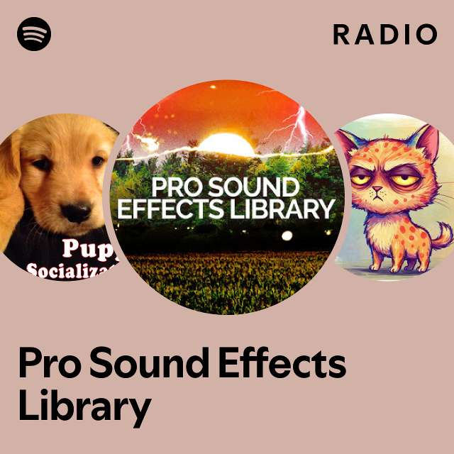 Pro Sound Effects Library Radio - playlist by Spotify | Spotify