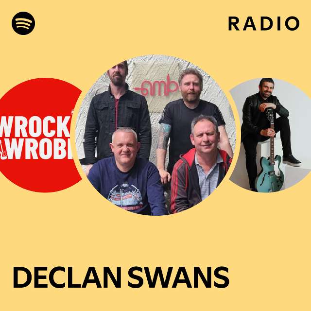 DECLAN SWANS Radio - playlist by Spotify | Spotify