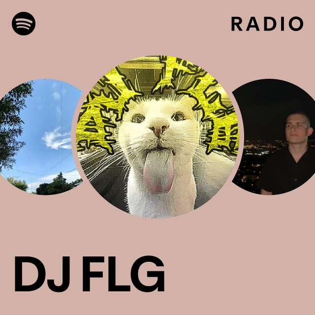 DJ FLG Radio - playlist by Spotify | Spotify