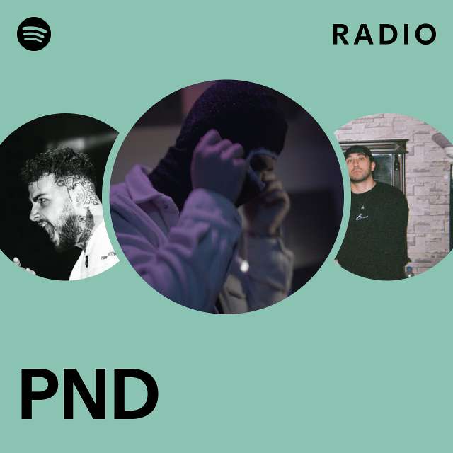 PND Radio - playlist by Spotify | Spotify