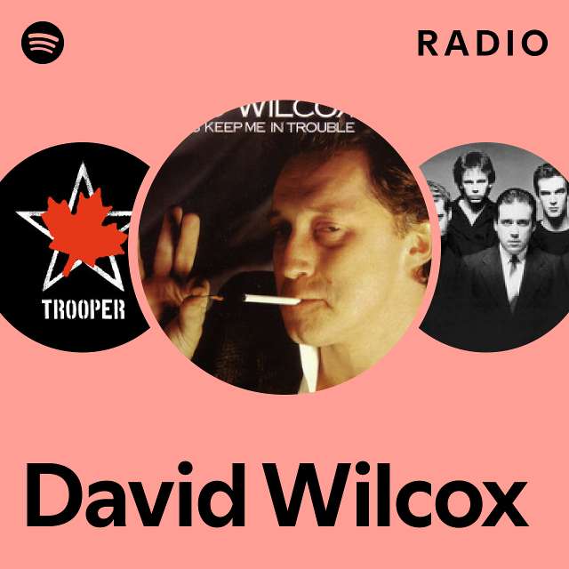 David Wilcox Radio - playlist by Spotify | Spotify