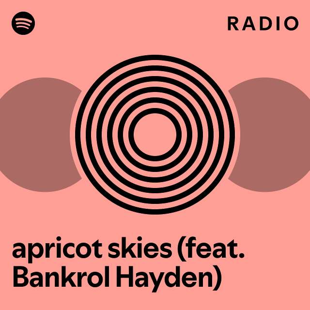 apricot skies (feat. Bankrol Hayden) Radio - playlist by Spotify | Spotify