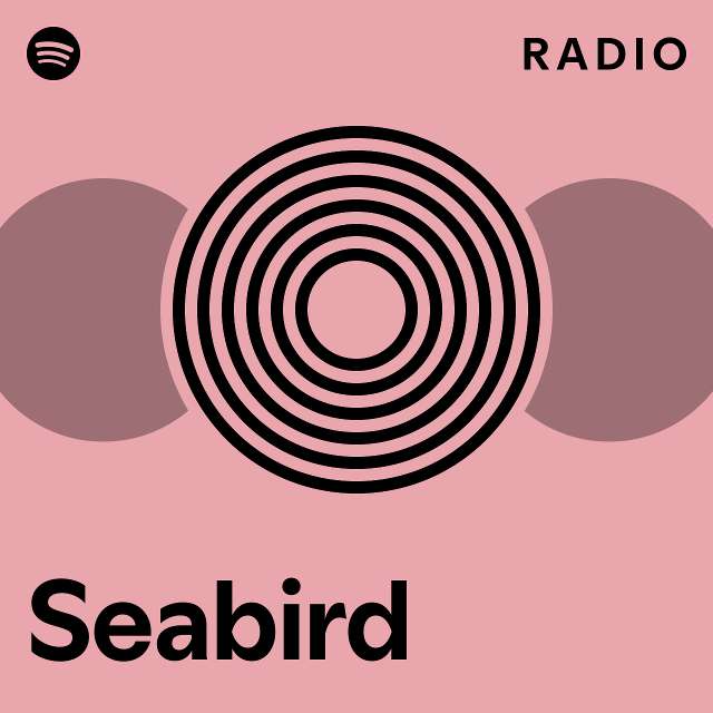Seabird Radio - playlist by Spotify | Spotify
