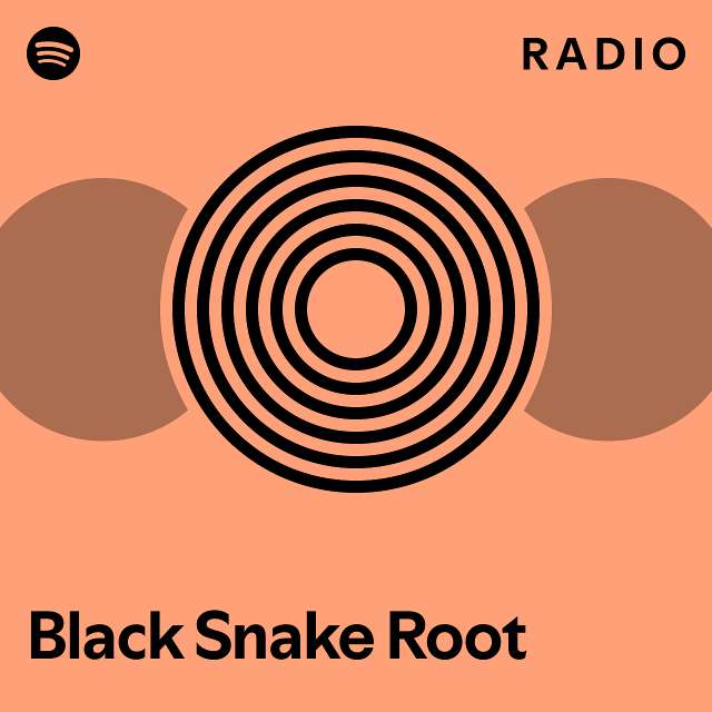 Black Snake Root Radio - playlist by Spotify | Spotify