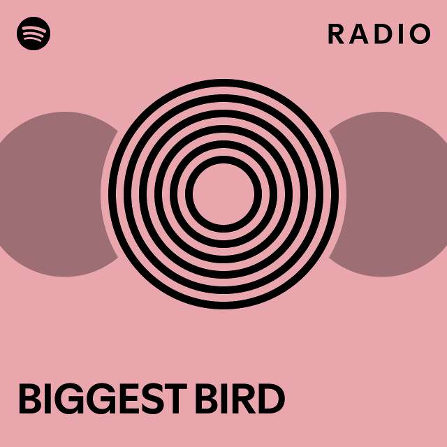 BIGGEST BIRD Radio - playlist by Spotify | Spotify