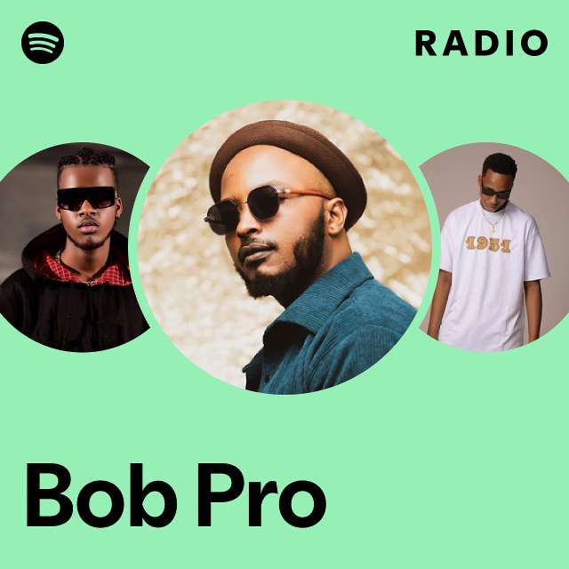 Bob Pro Radio - playlist by Spotify | Spotify
