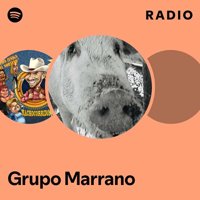 Grupo Marrano Radio - playlist by Spotify | Spotify