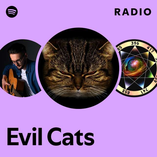 Evil Cats Radio - playlist by Spotify | Spotify