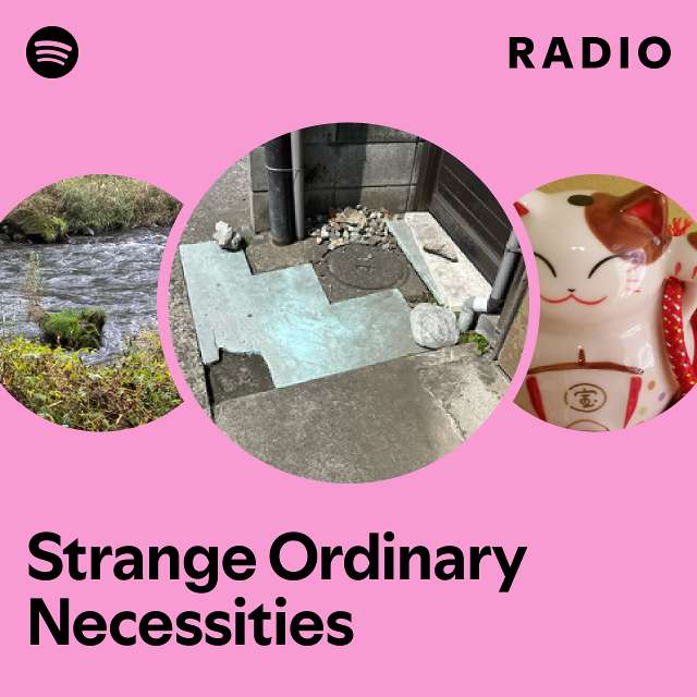 Strange Ordinary Necessities Radio - playlist by Spotify | Spotify