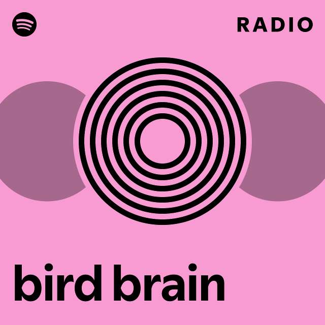 bird brain Radio - playlist by Spotify | Spotify